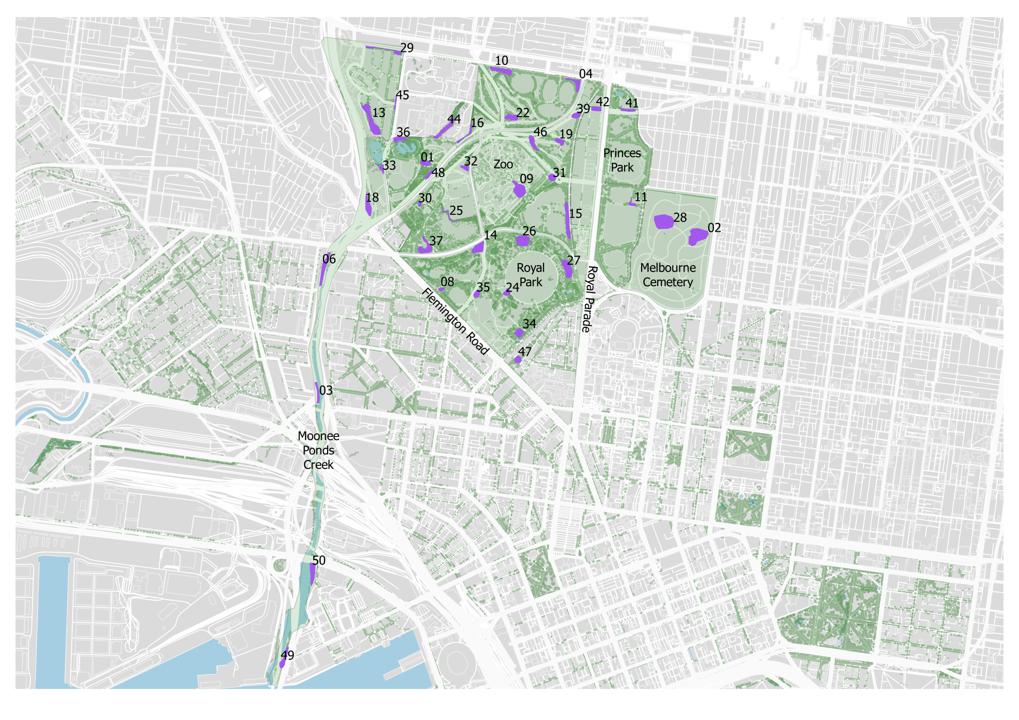 How to become a wren-watcher – Superb City Wrens